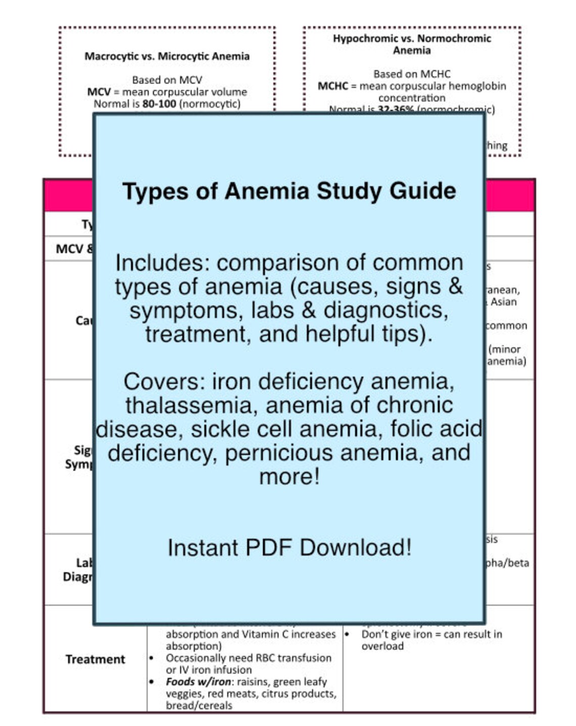 Types of Anemia Study Guide - Etsy