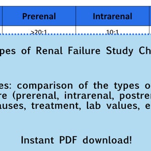 3 Types of Renal Failure Study Guide - Etsy