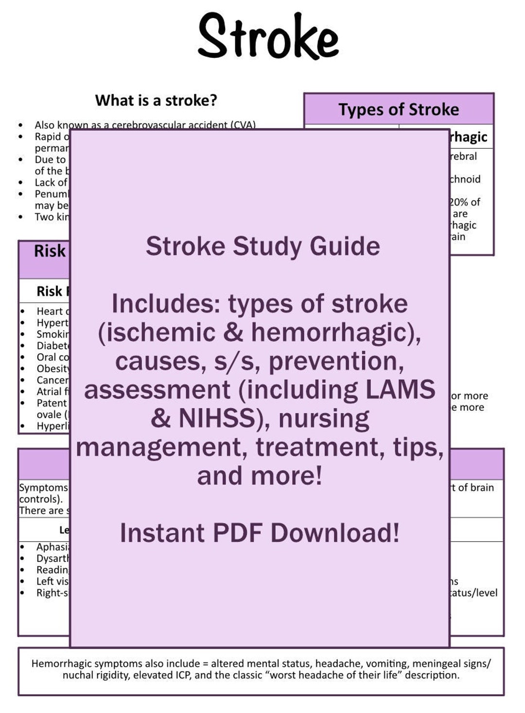 Stroke Study Guide - Etsy