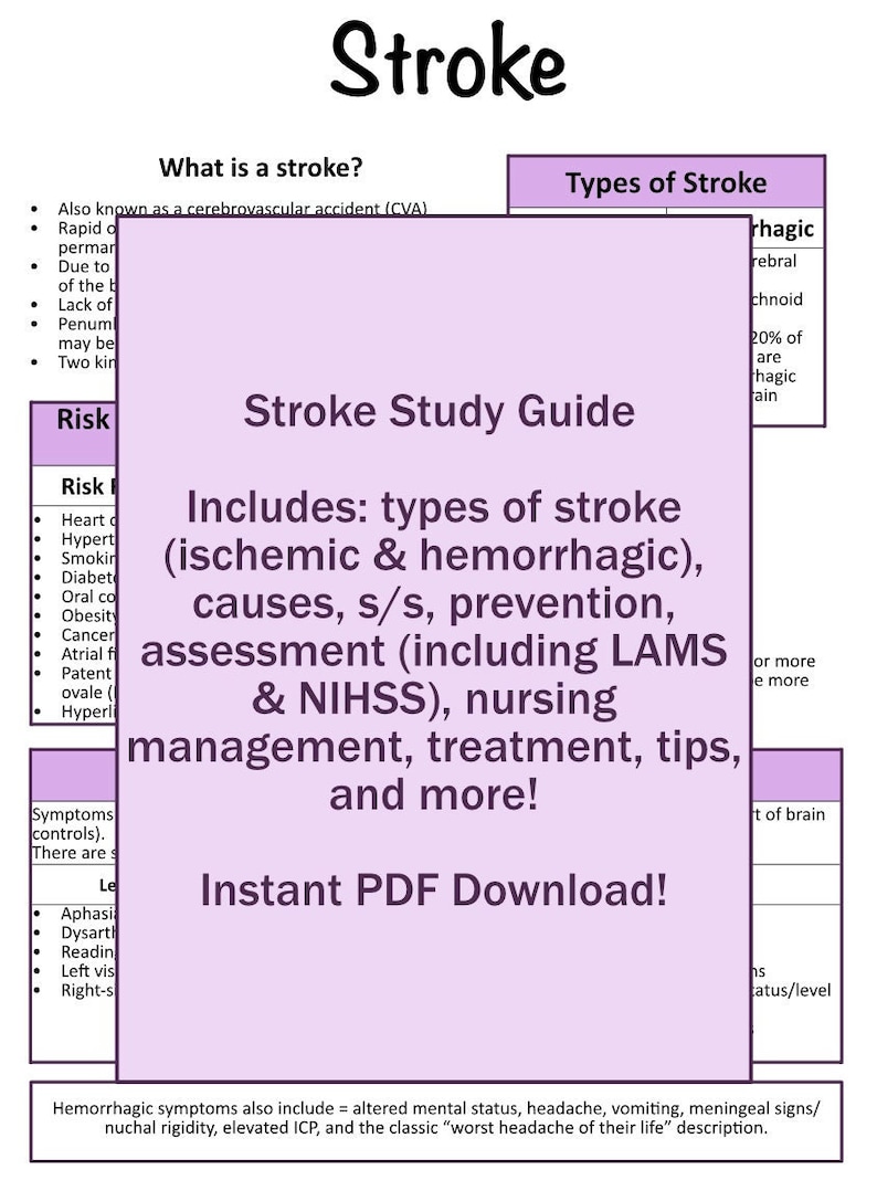 Stroke Study Guide - Etsy