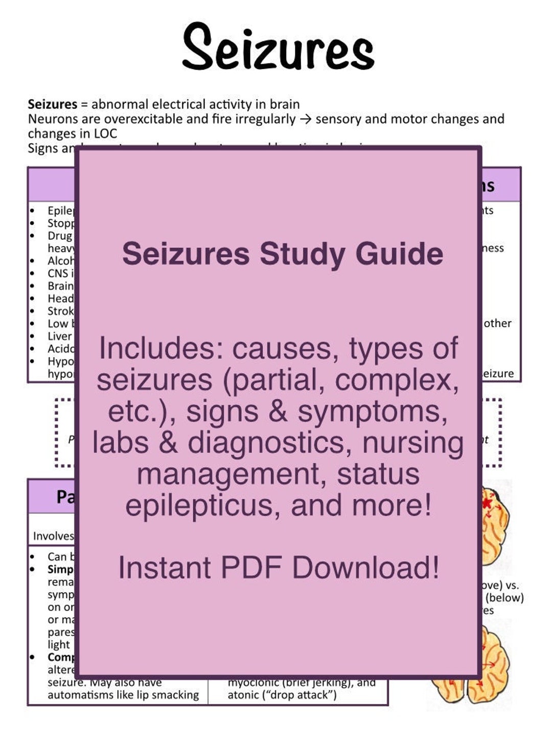 Seizures Study Guide - Etsy