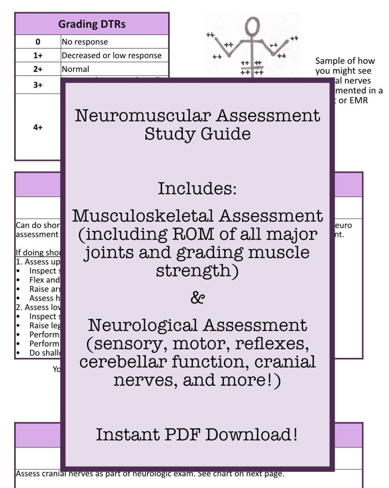 Neuromuscular Assessment Study Guide - Etsy
