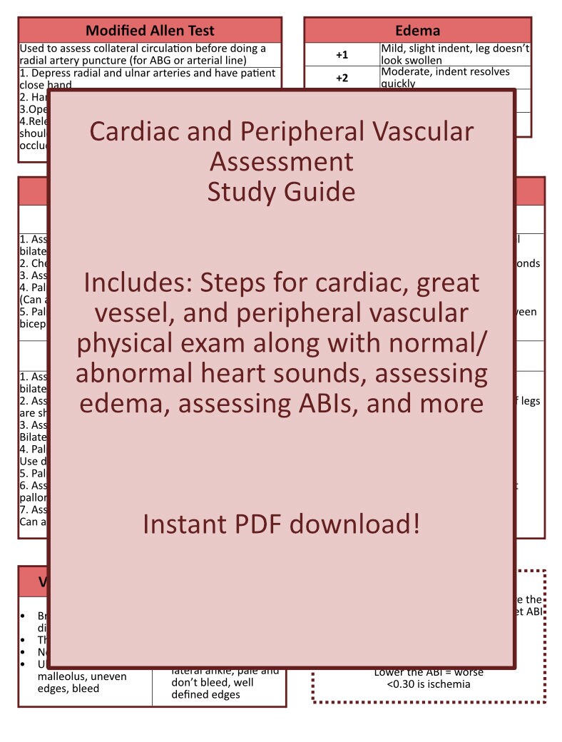 Cardiac & Peripheral Vascular Physical Assessment Study Guide - Etsy