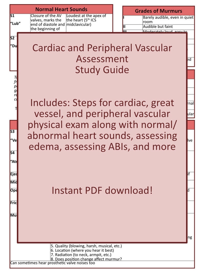 Cardiac & Peripheral Vascular Physical Assessment Study Guide - Etsy Cardiac & Peripheral Vascular Physical Assessment Study Guide - Etsy