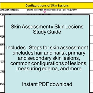Skin Assessment and Skin Lesions Study Guide - Etsy