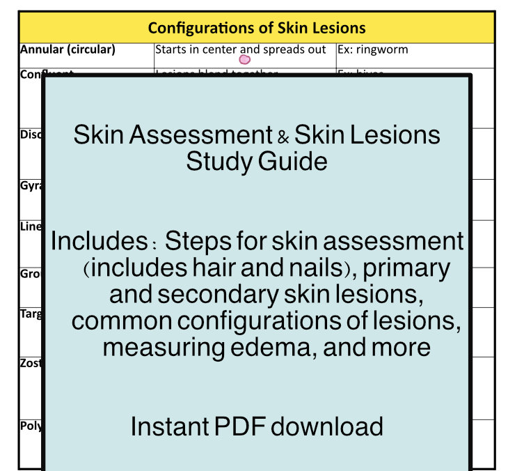 Skin Assessment and Skin Lesions Study Guide - Etsy