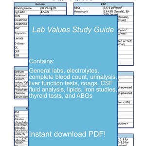 ABG, Electrolyte, and Lab Values Nursing Study Bundle - Etsy
