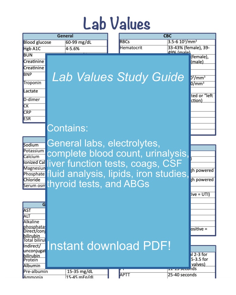 ABG, Electrolyte, and Lab Values Nursing Study Bundle - Etsy