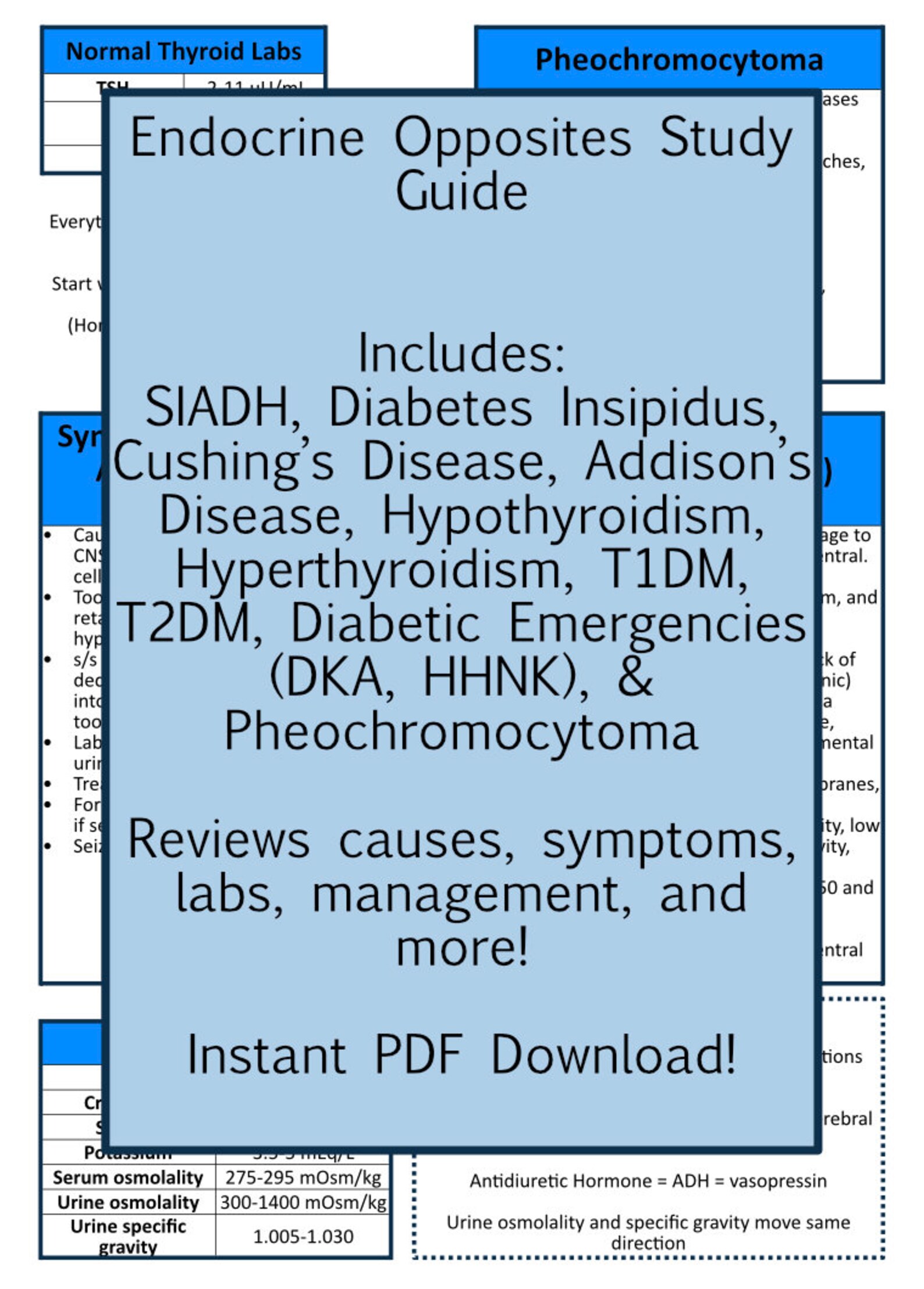 Endocrine Study Guide - Etsy