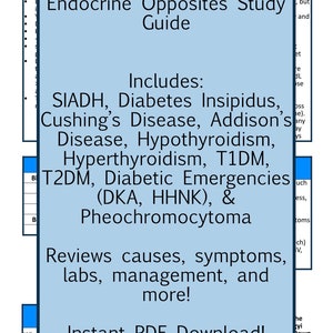 Endocrine Study Guide - Etsy