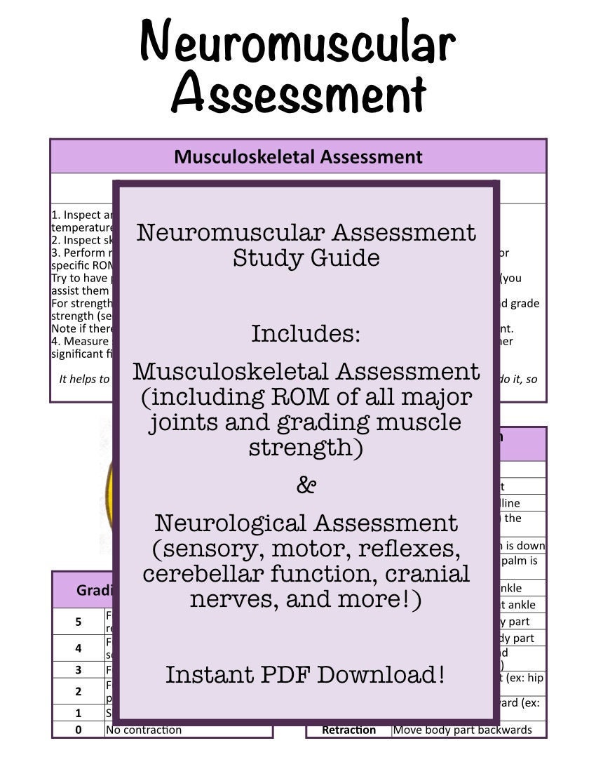 Neuromuscular Assessment Study Guide - Etsy