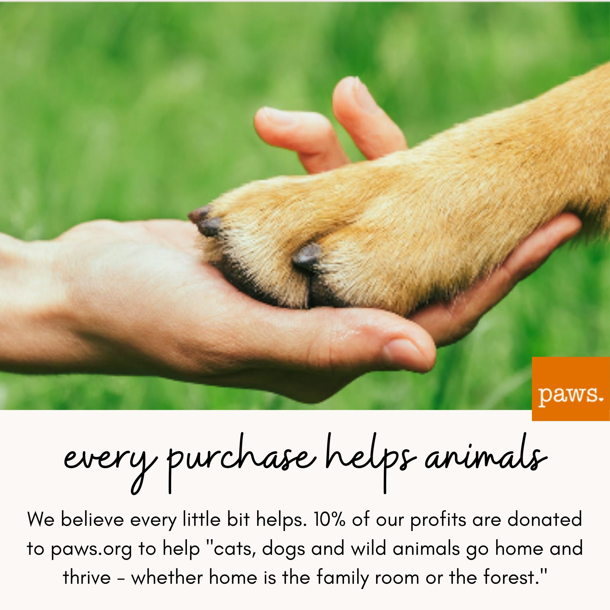 Microdosing Tracker, Daily Monthly Microdose Journal, Psychedelic ...