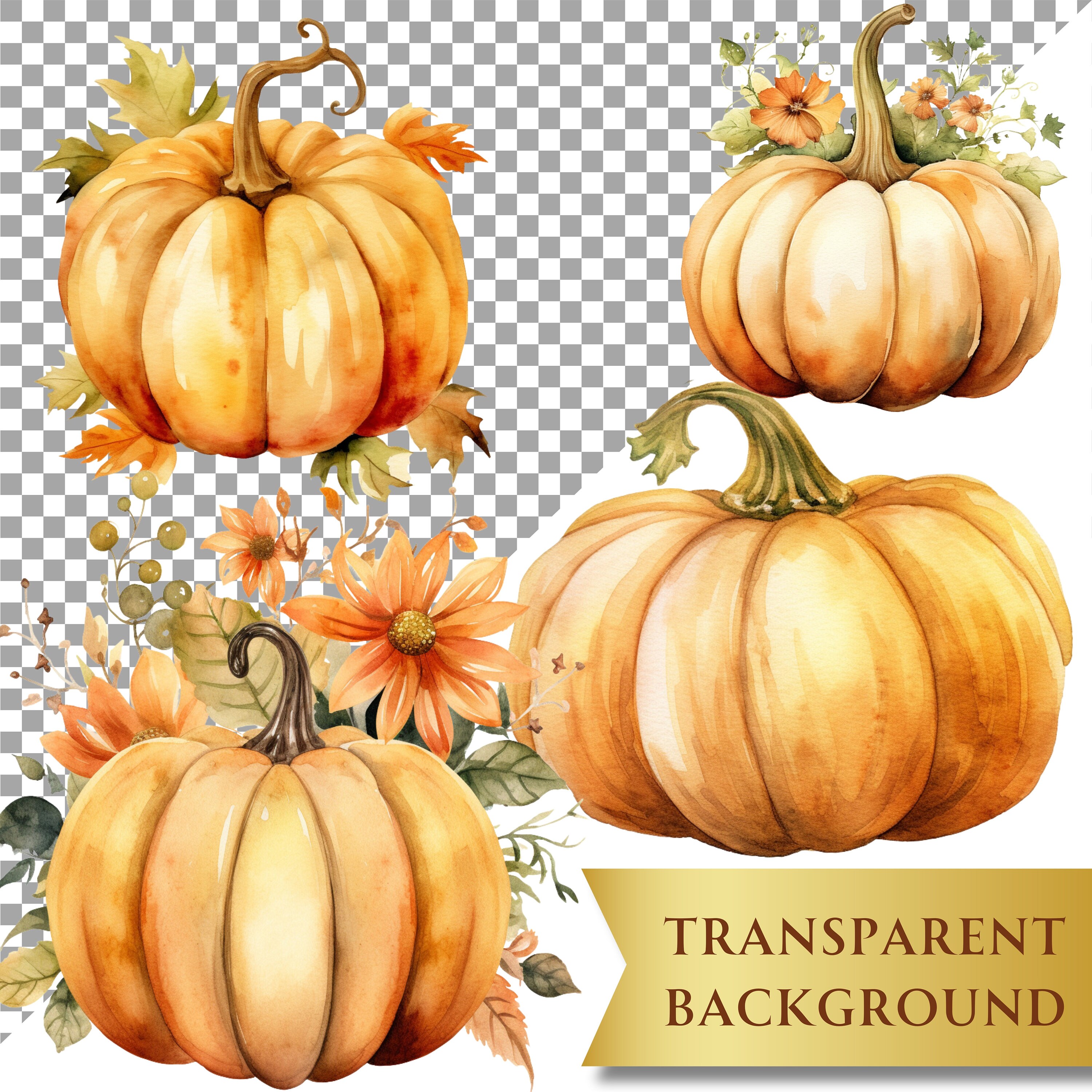 Whimsical Pumpkin Patch: Watercolor Orange Pumpkin Clipart Collection ...