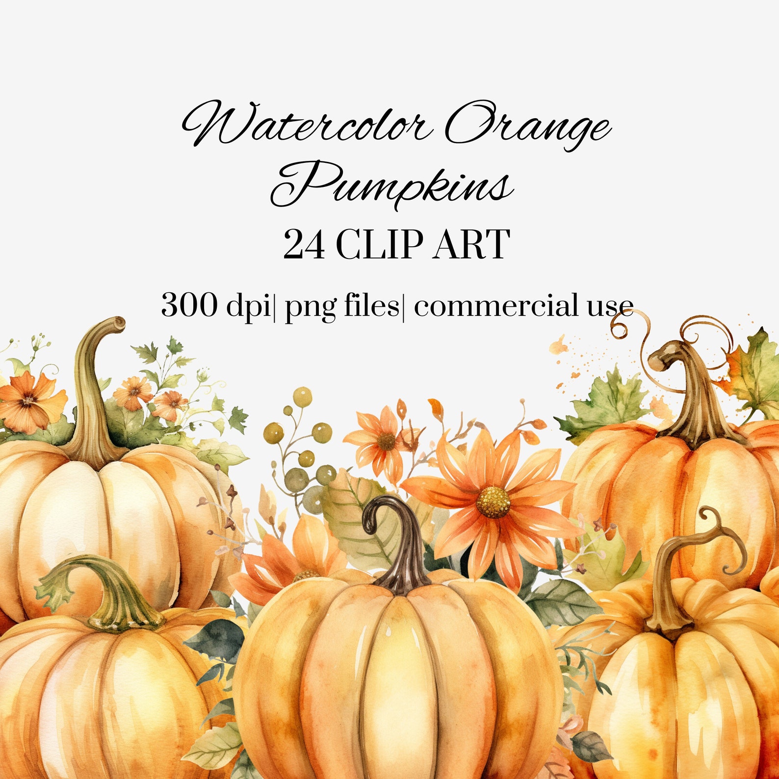 Whimsical Pumpkin Patch: Watercolor Orange Pumpkin Clipart Collection ...