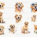 Watercolor Golden Retriever Bundle of 20 Commercial Use - Etsy