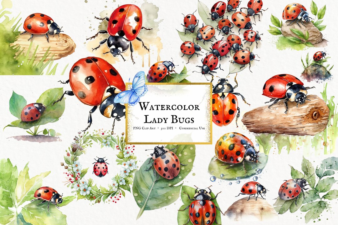 Watercolor Lady Bugs, Bundle of 20, Commercial Use, Watercolor Clipart ...