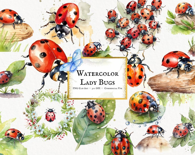 Watercolor Lady Bugs, Bundle of 20, Commercial Use, Watercolor Clipart ...