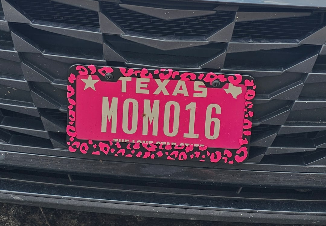 Cheetah License Plates Frame - Etsy