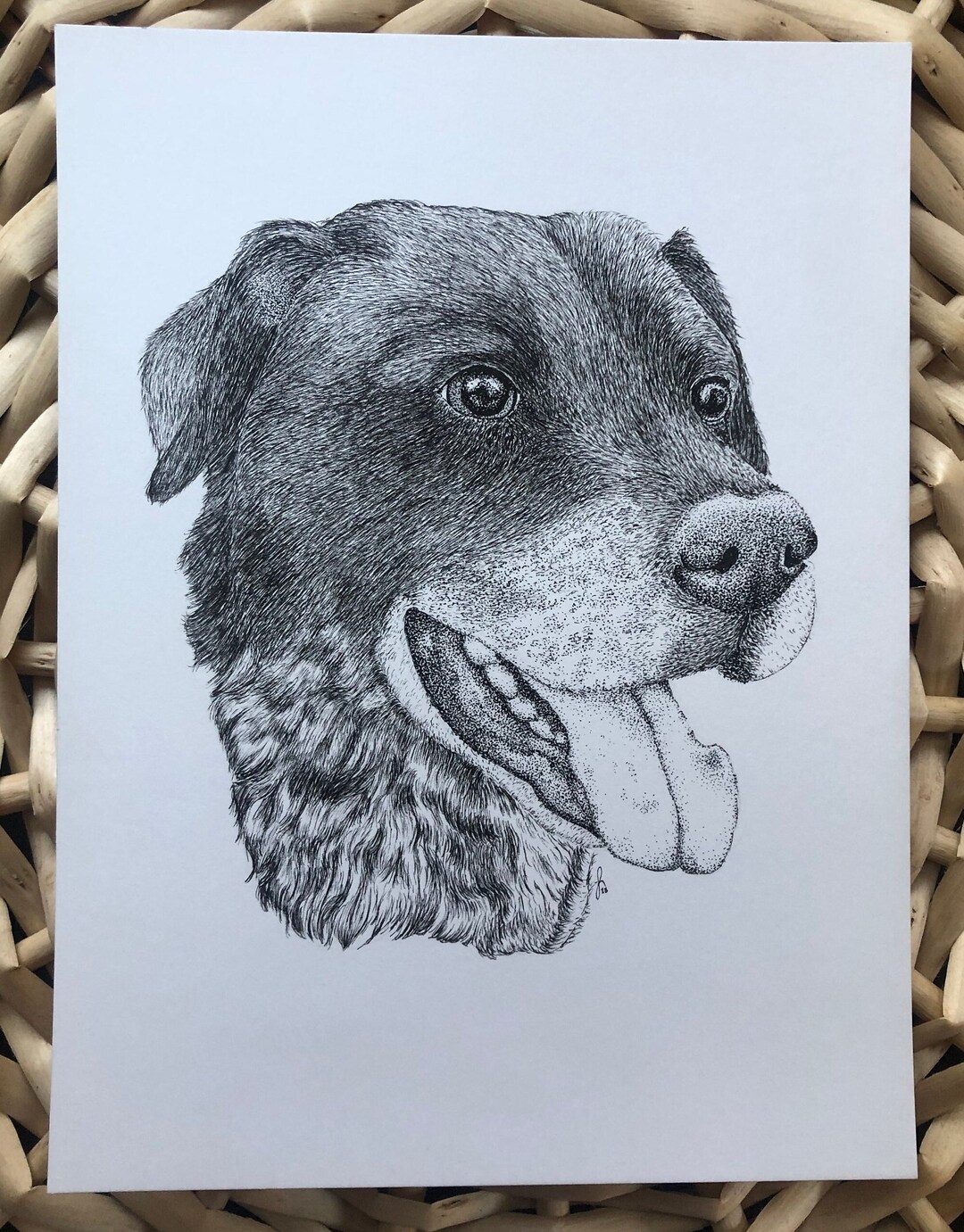 Hand Drawn Pet Portraits, Commission Pet Portraits, Ink Pet Portrait ...