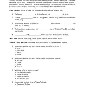 Anatomical Position and Anatomical Planes Terminology Review Worksheet ...