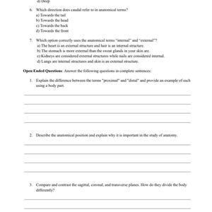 Anatomical Position and Anatomical Planes Terminology Review Worksheet ...