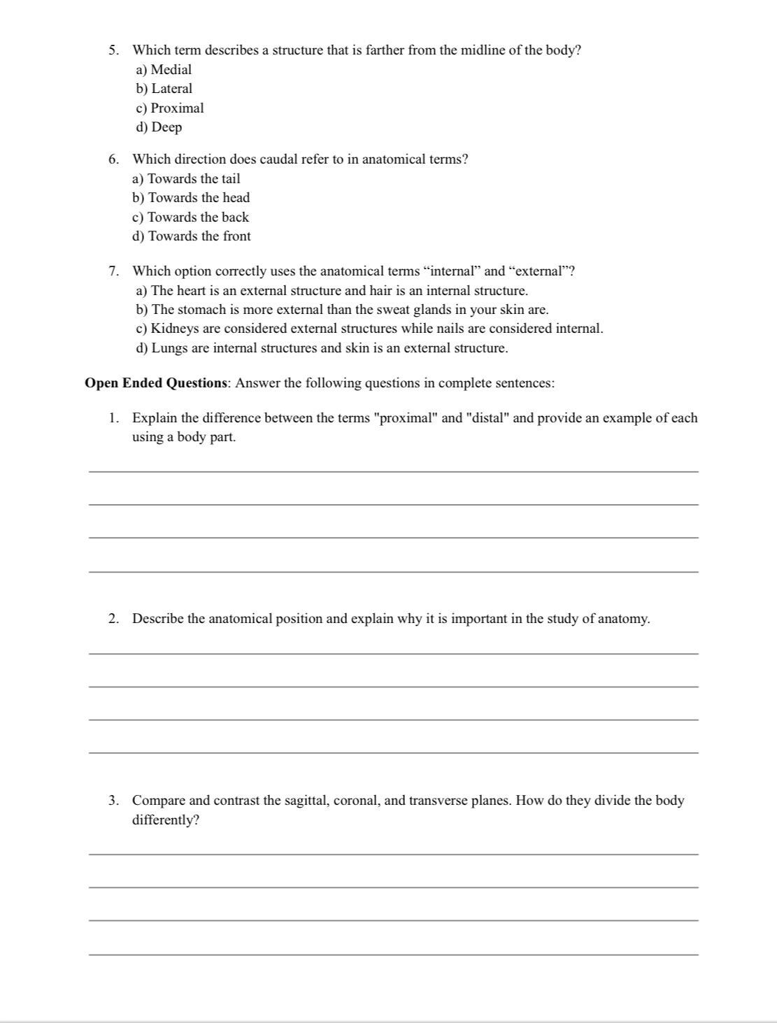 Anatomical Position and Anatomical Planes Terminology Review Worksheet ...