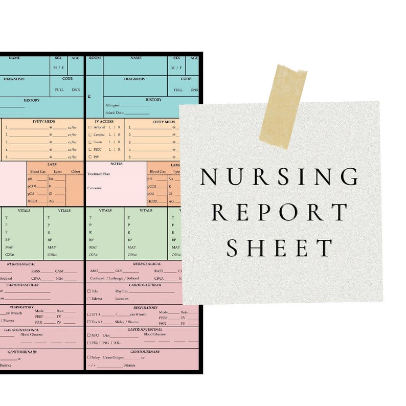 Nursing Report Sheet, Two Patients, Pdf Download, Icu, Hau, Pcu, Digital Download, Organized - Etsy
