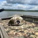 Bottomland Camo Rope Hat PVC Wood Duck Logo Patch Mossy Oak Camo Hat - Etsy