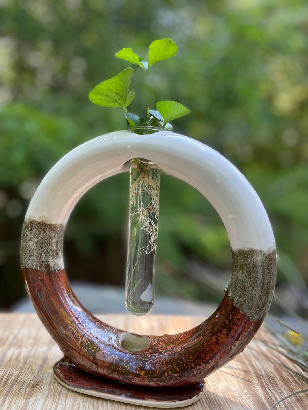 Ring Vase, Donut Vase, Torus, Handmade Pottery, Wheel Thrown Pottery ...