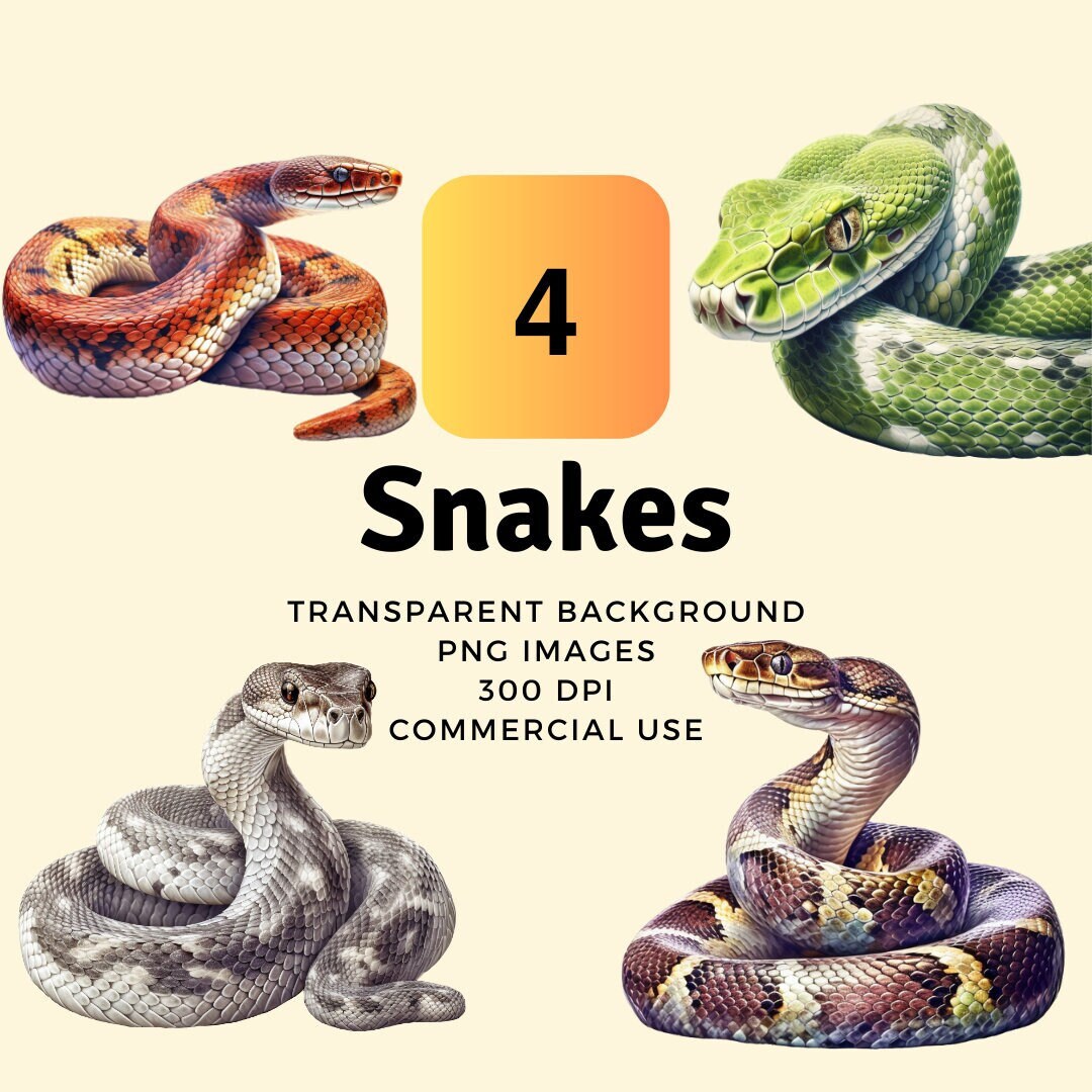 Dangerous Snakes Images Clipart