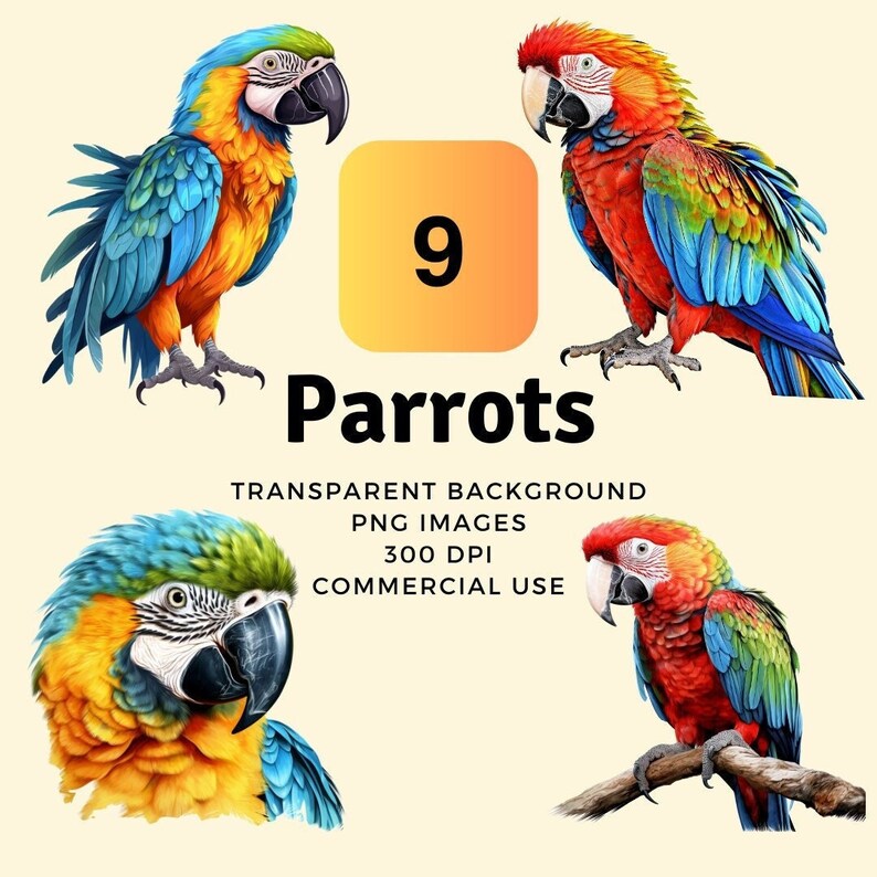 Parrot Clipart Set Transparent PNG Files Instant Download - Etsy