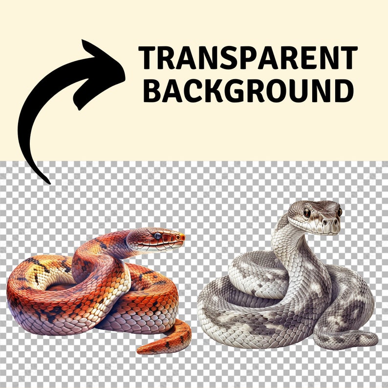 Snake Clipart Set Transparent PNG Files Instant Download - Etsy