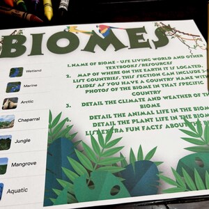 FUN BIOMES SLIDE Show Rubric for Elementary/middle Schoolers! - Etsy