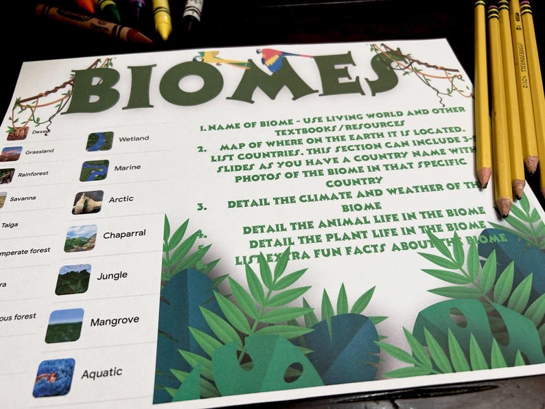 FUN BIOMES SLIDE Show Rubric for Elementary/middle Schoolers! - Etsy