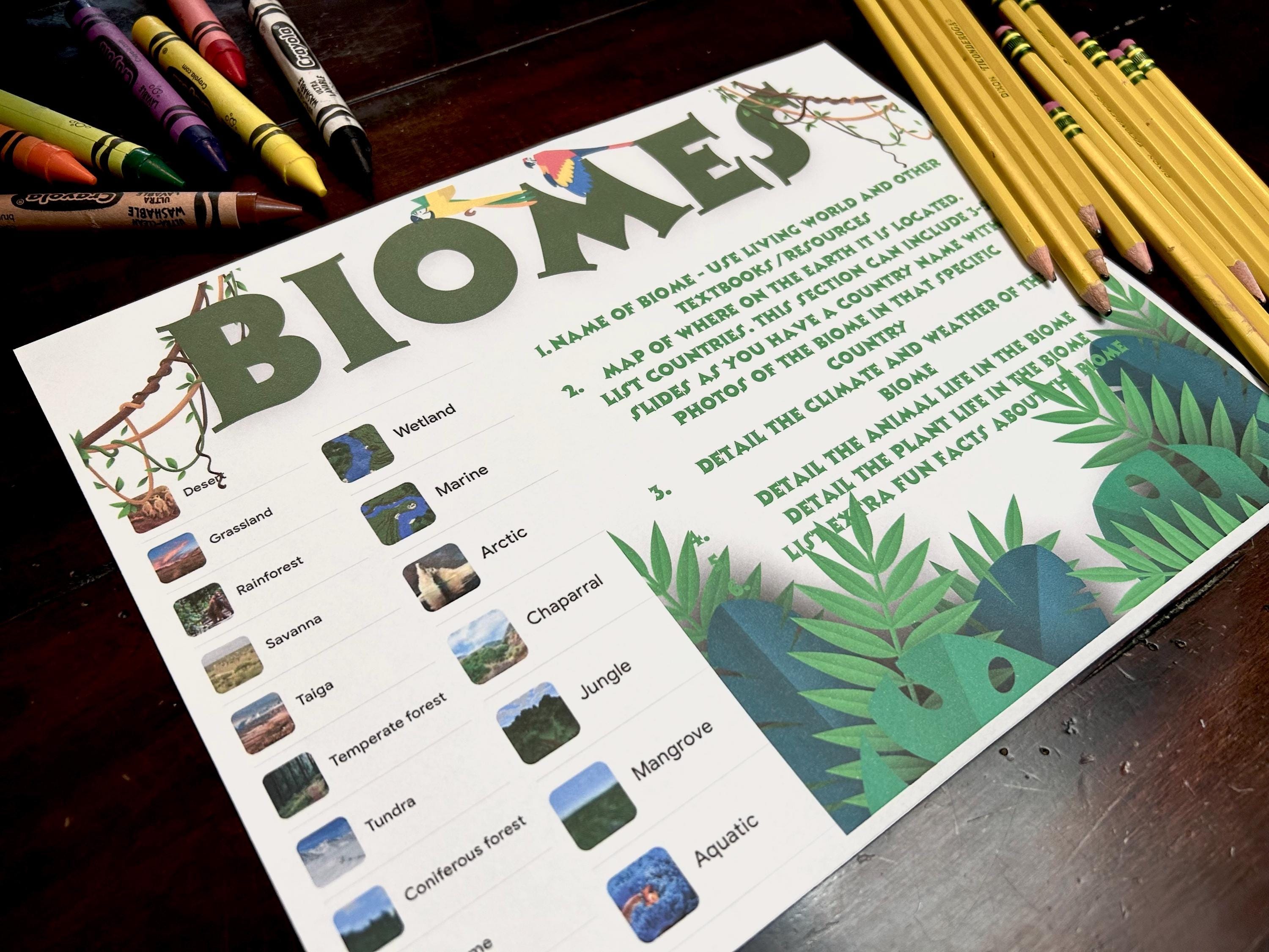 FUN BIOMES SLIDE Show Rubric for Elementary/middle Schoolers! - Etsy