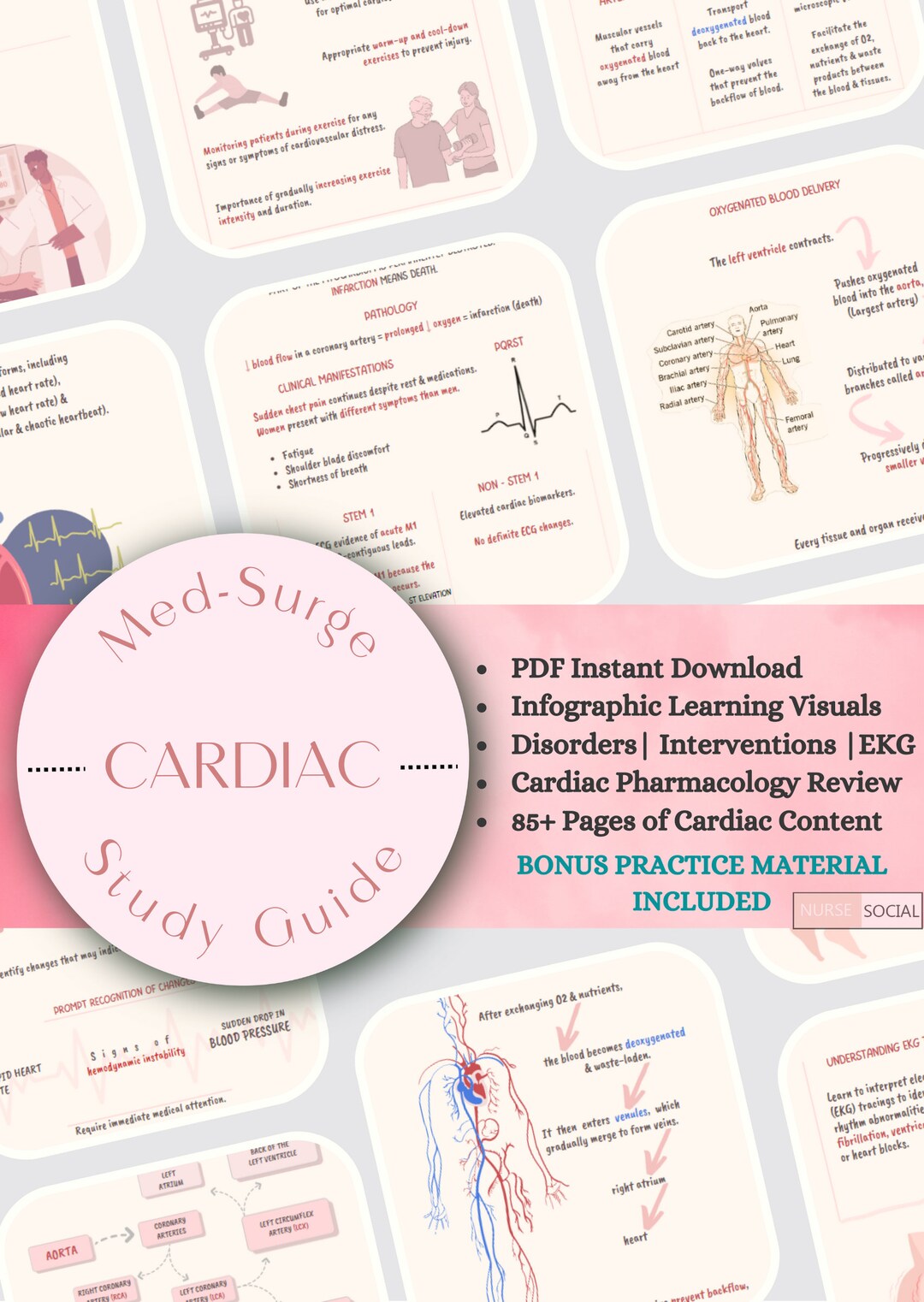 Nursing Medical Surgical Cardiac Study Guide - Full COMPRHENSIVE Review ...