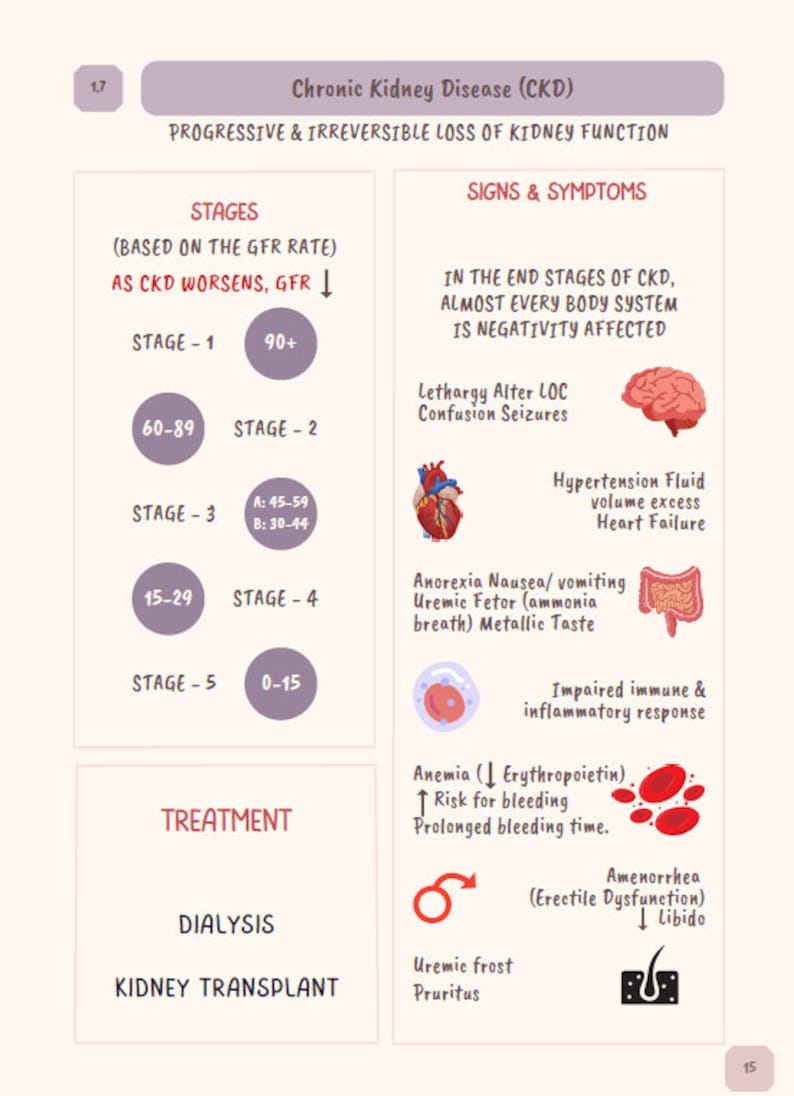 Med-surg Nursing Study Guide Bundle | Visual Learning (digital Download ...