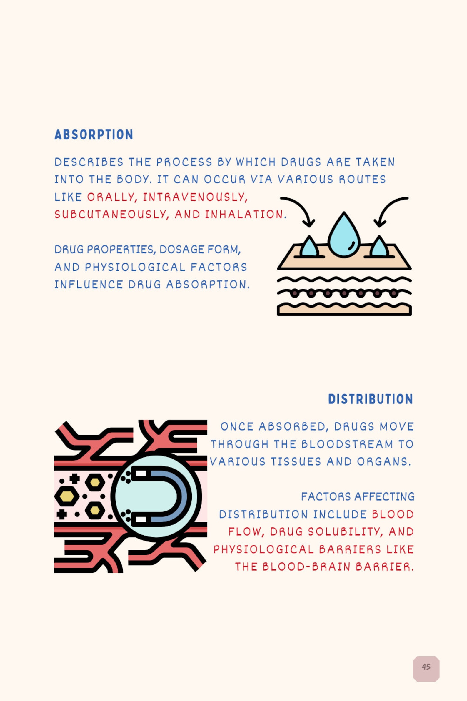 Nursing Fundamentals Study Guide Bundle 70 Pages Ati Kaplan Etsy