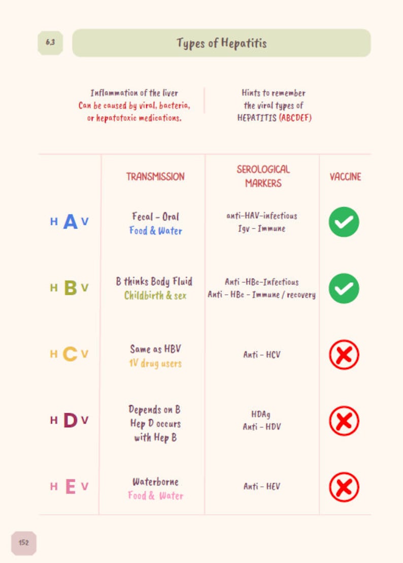 Med-surg Nursing Study Guide Bundle | Visual Learning (digital Download ...