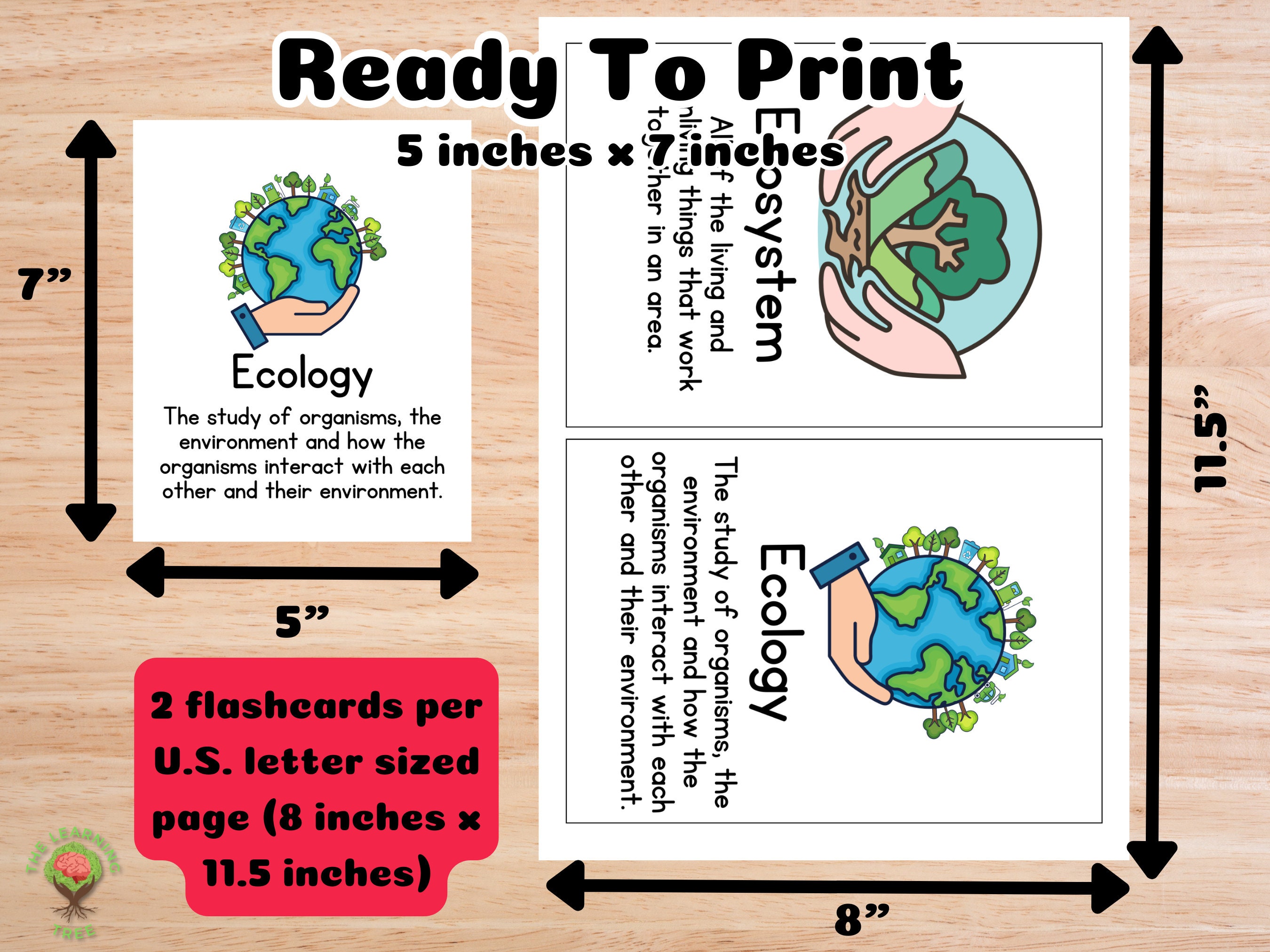25 Ecology Flashcards | Digital Download Educational Flashcards - Etsy