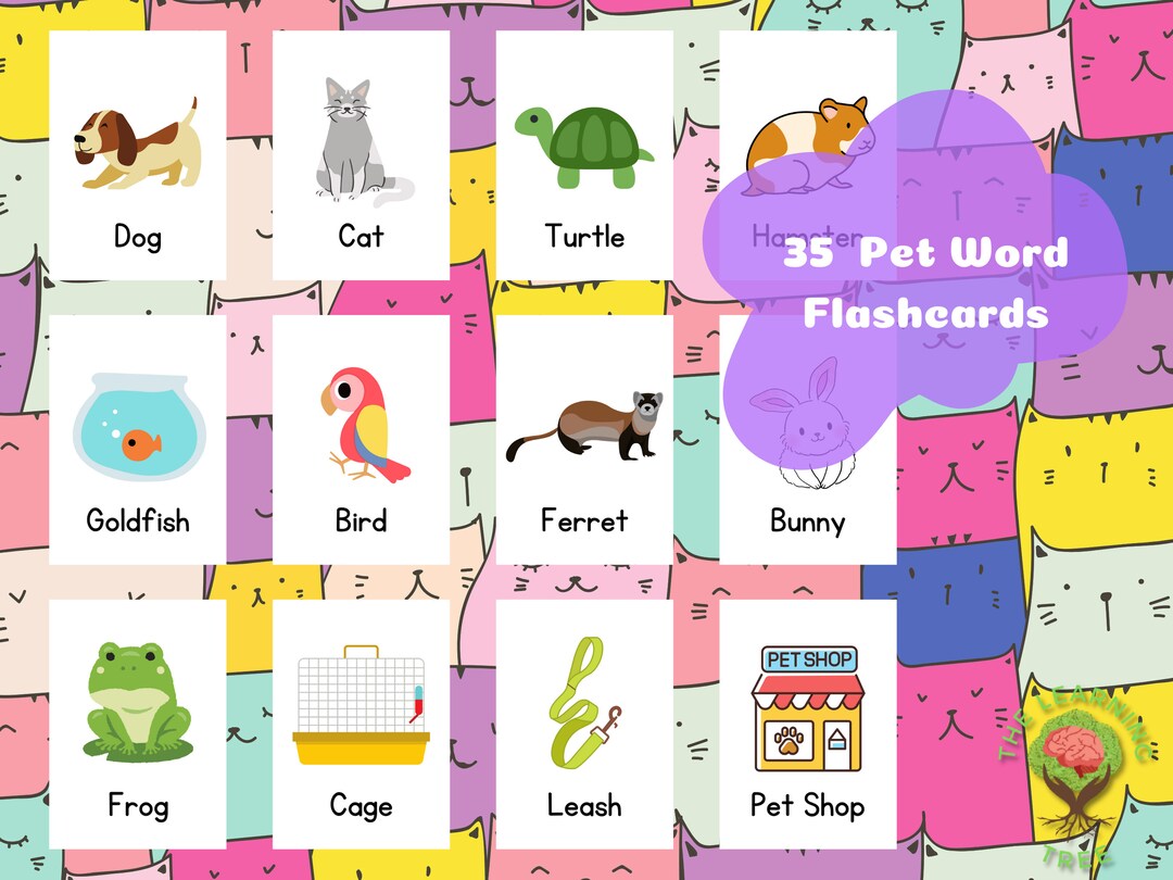 35 Pet Flashcards | Digital Download Educational Flashcards - Etsy