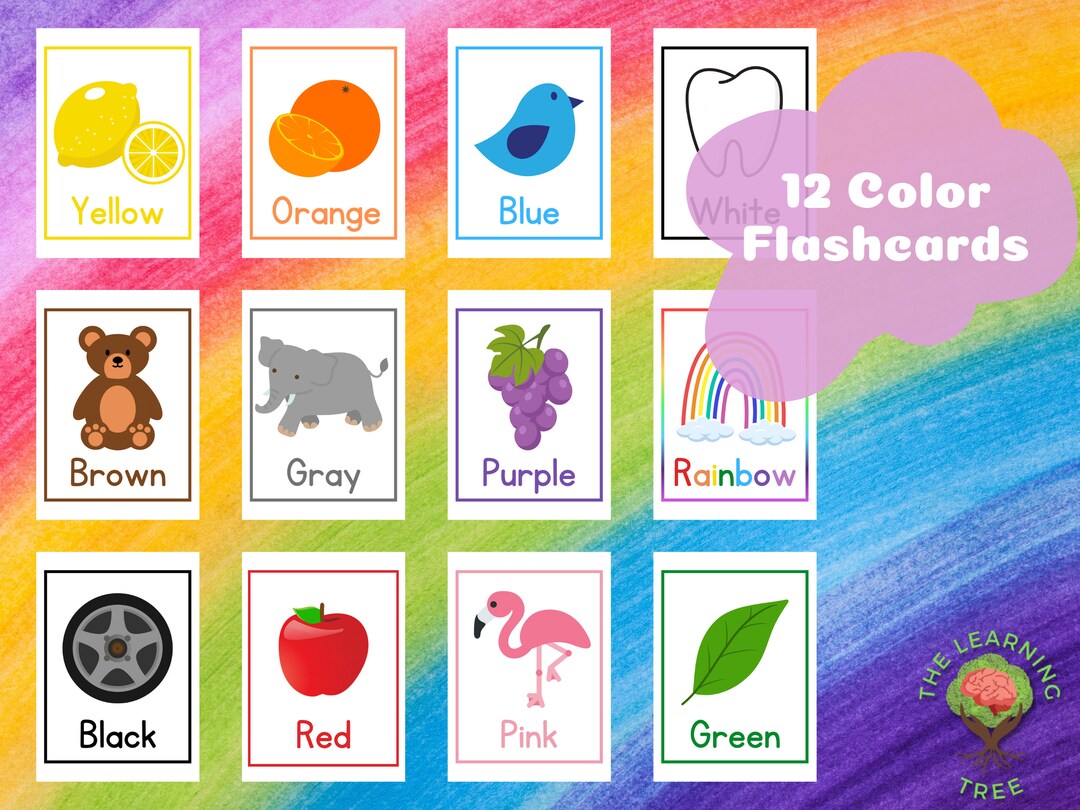 Color Learning Picture Flashcards for Early Education Digital Download ...