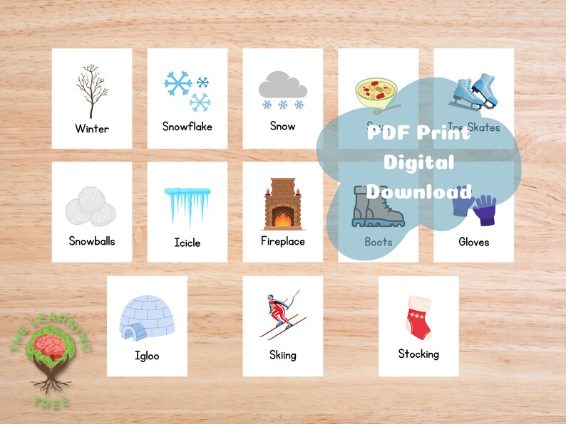 25 Winter Word Flashcards | Digital Download Educational Flashcards - Etsy