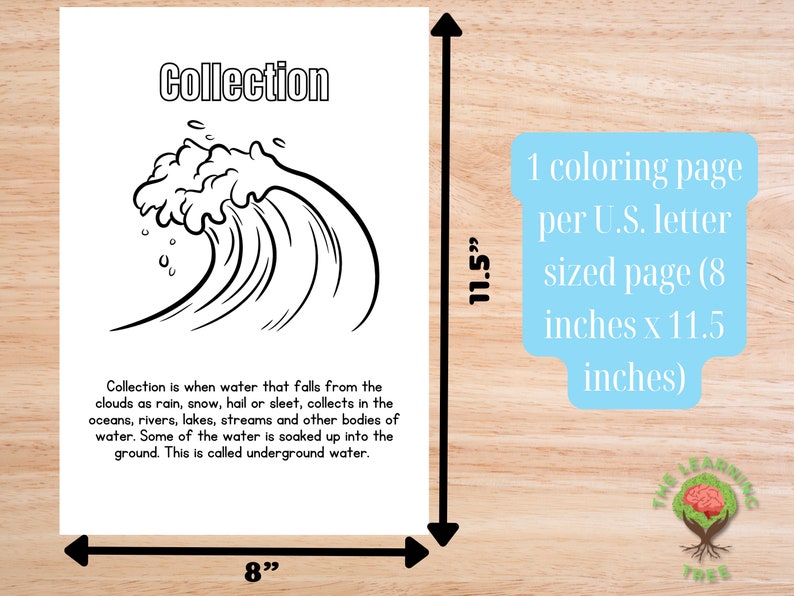 Water Cycle Coloring Pages| Digital Print Educational Pages - Etsy