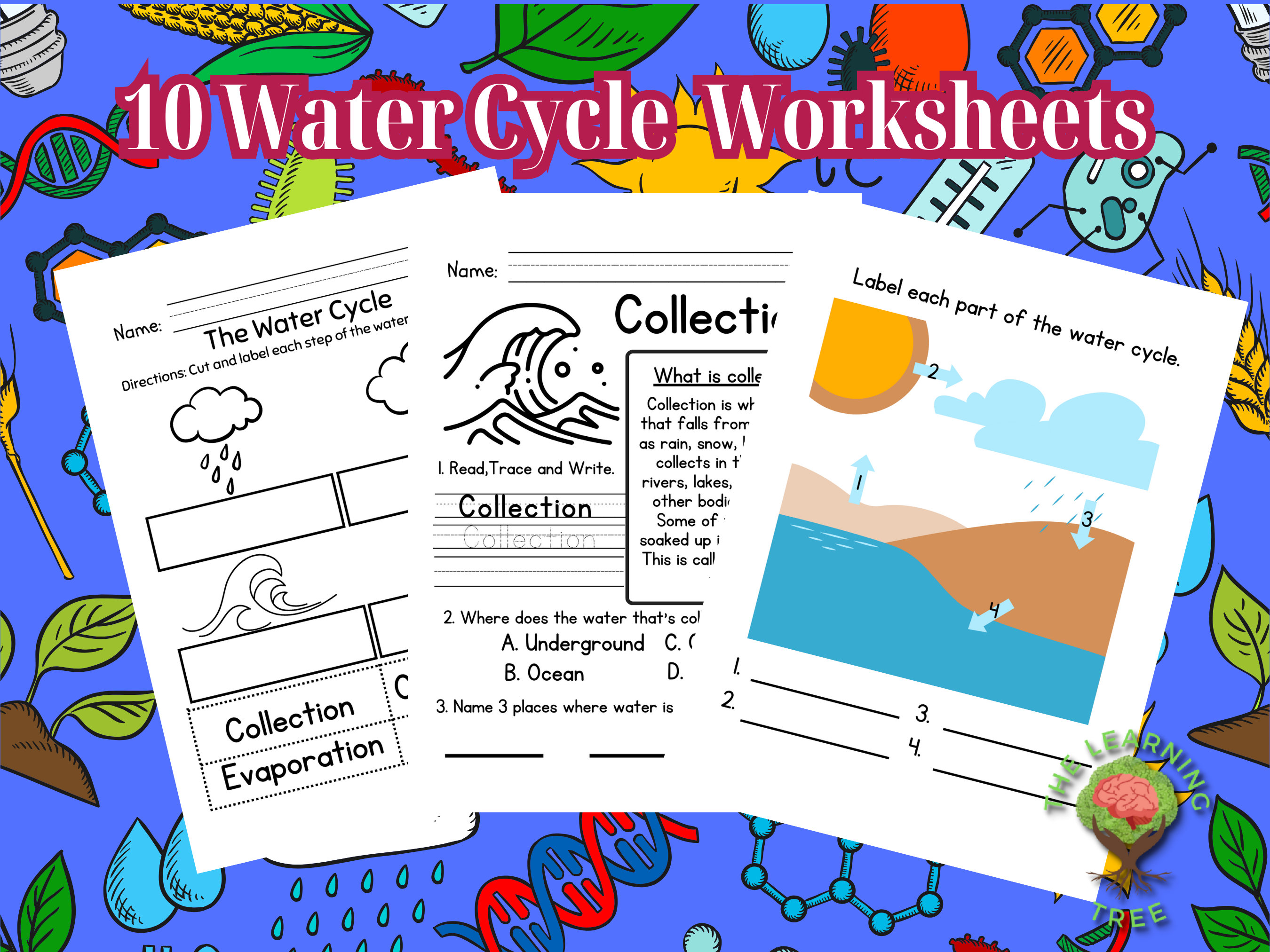 Water Cycle Kindergarten Worksheets Water Cycle Water Cycle Worksheet