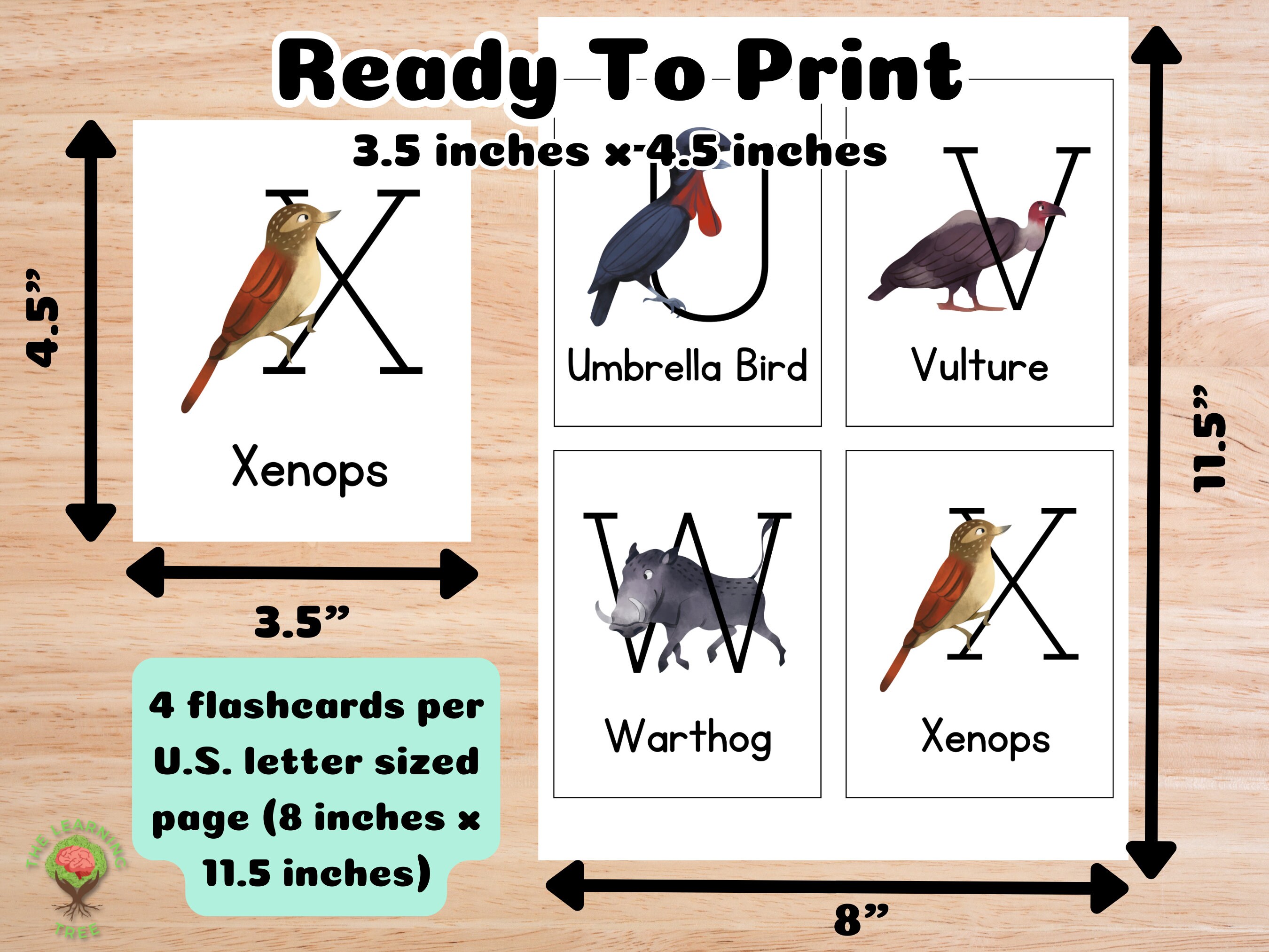 26 Animal Alphabet Flashcards Digital Download Educational Flashcards ...