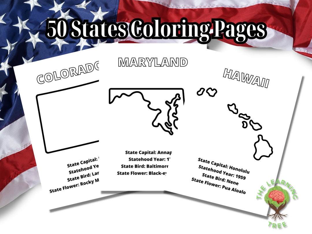 50 United States of America Coloring Pages| Digital Print USA ...