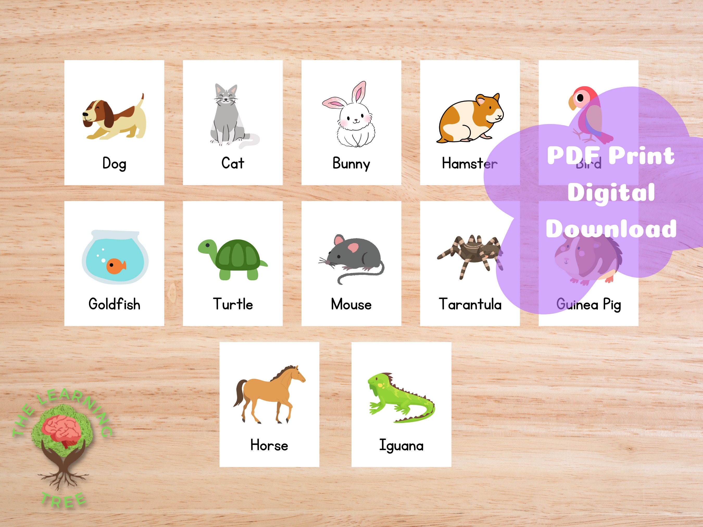 35 Pet Flashcards Digital Download Educational Flashcards - Etsy