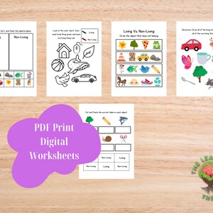 Living and Non-living Worksheets | Educational Digital Printable - Etsy