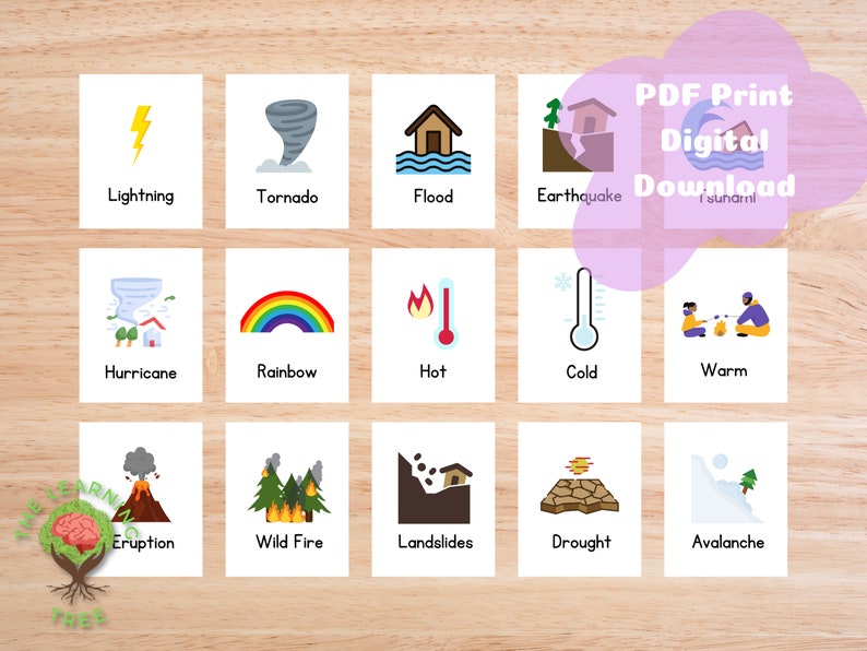 30 Weather & Natural Disaster Flashcards | Digital Download Educational ...